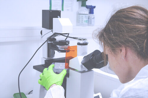 Microfluidic instruments specialist - Elveflow - Microfluidics innovation center