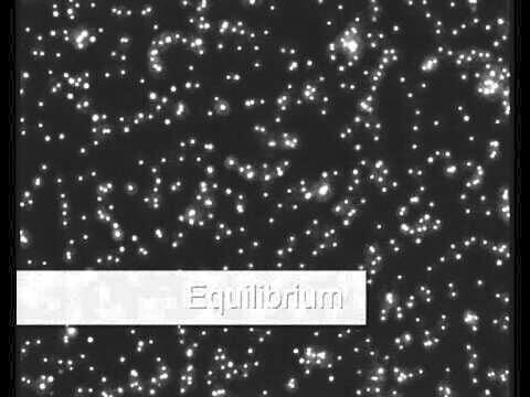 Microfluidics | Zero flow techniques | Applications - Elveflow