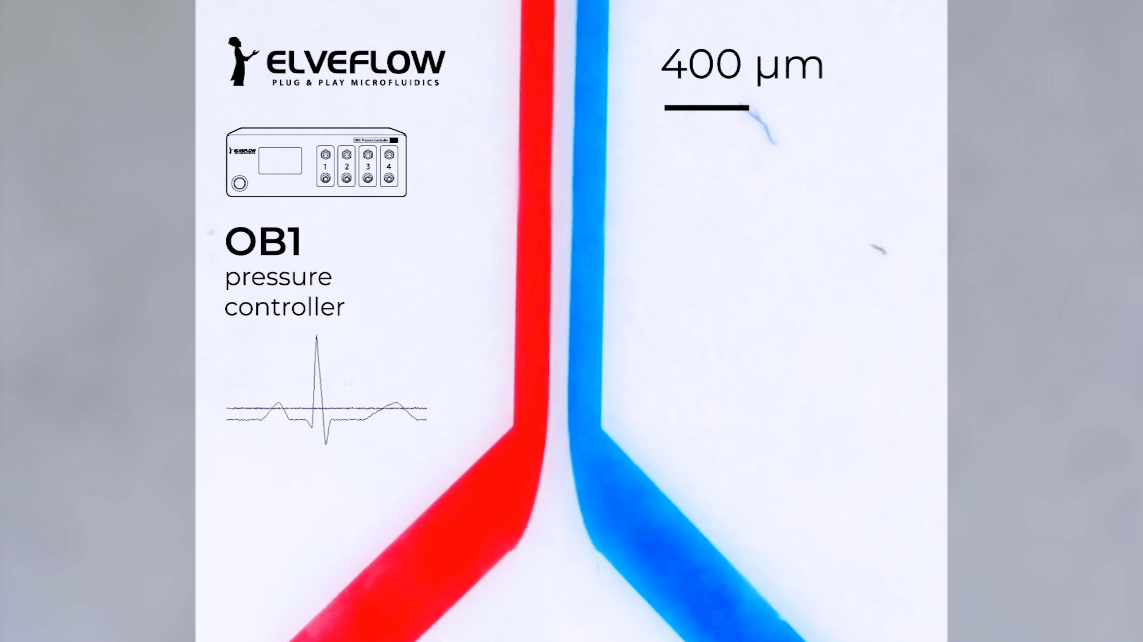 Microfluidics flow focusing - Elveflow