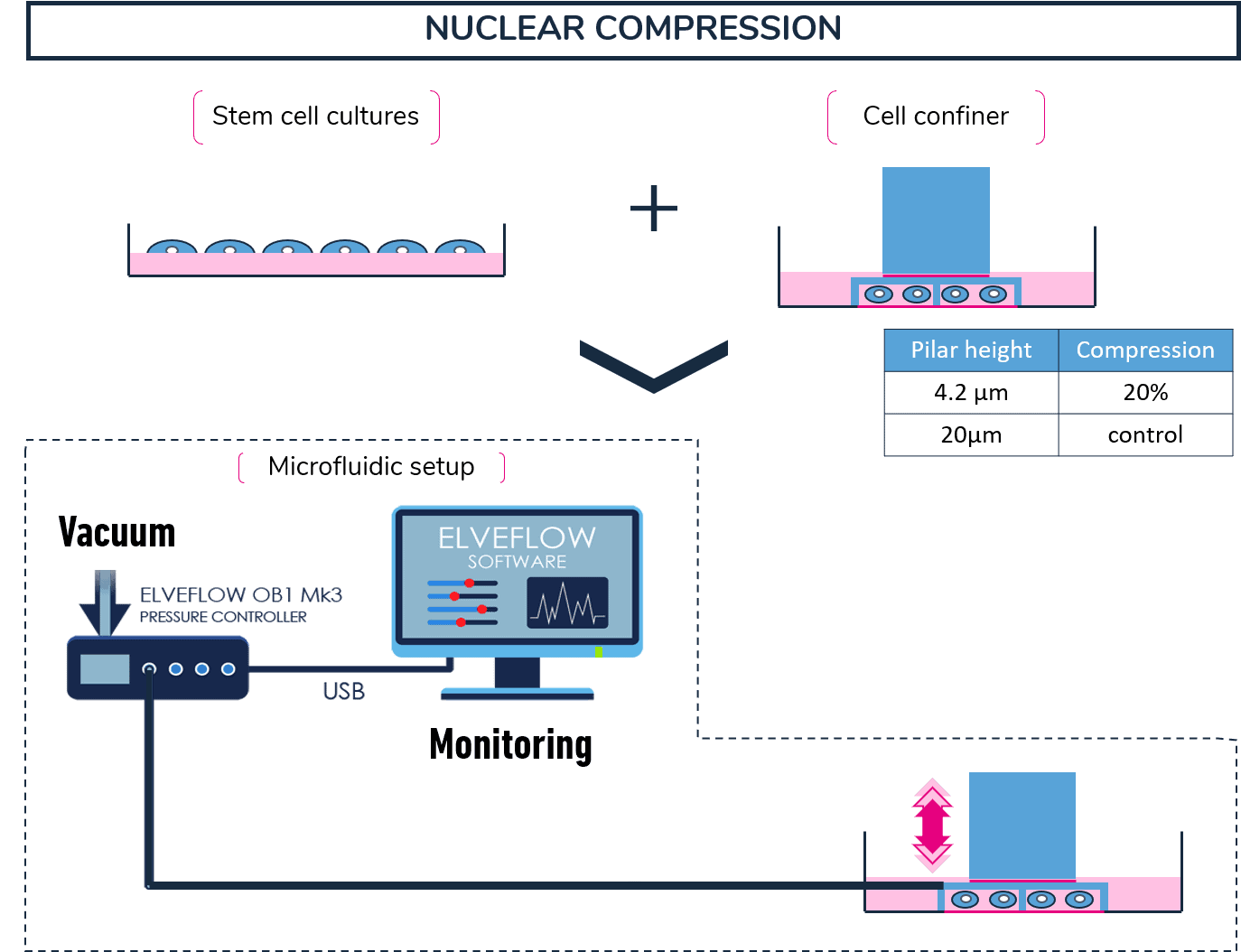 Microfluidic for cell biology: Concepts and methodologies - Elveflow