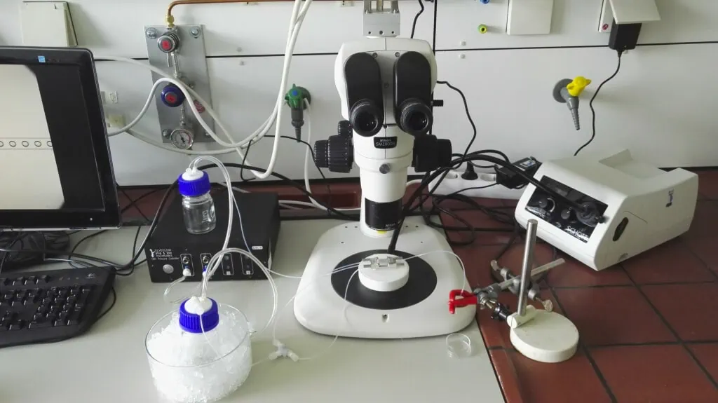 Liquid foam templating - Elveflow