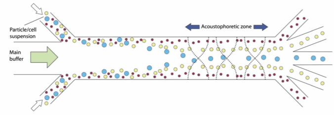 Acoustic Techniques For Microfluidic Particle Sorting Elveflow
