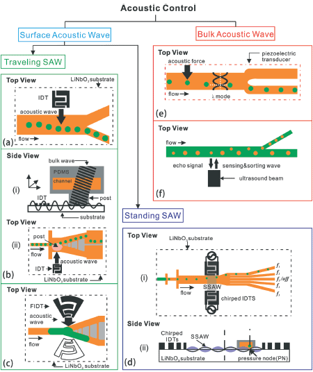 Acoustic techniques for microfluidic particle sorting - Elveflow