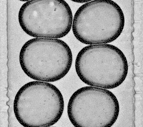 Microbubble generation with microfluidics - Elveflow