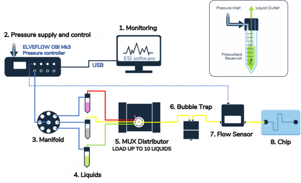 Automated Cell-Seeding for Dynamic Cell Culture - Elveflow