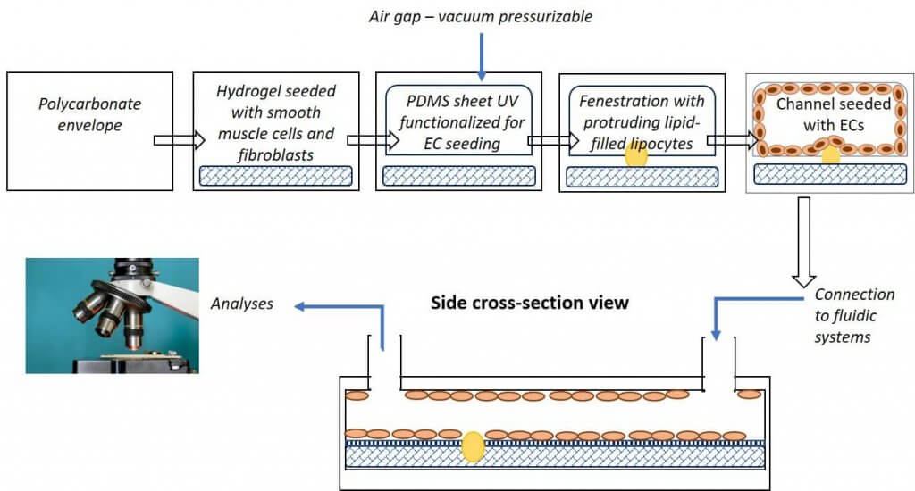 Circular channel fabrication in microfluidic devices - Elveflow