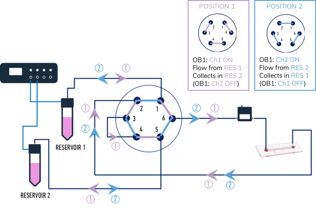 Medium recirculation for dynamic cell culture - Elveflow