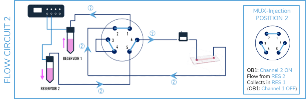 Medium recirculation for dynamic cell culture - Elveflow