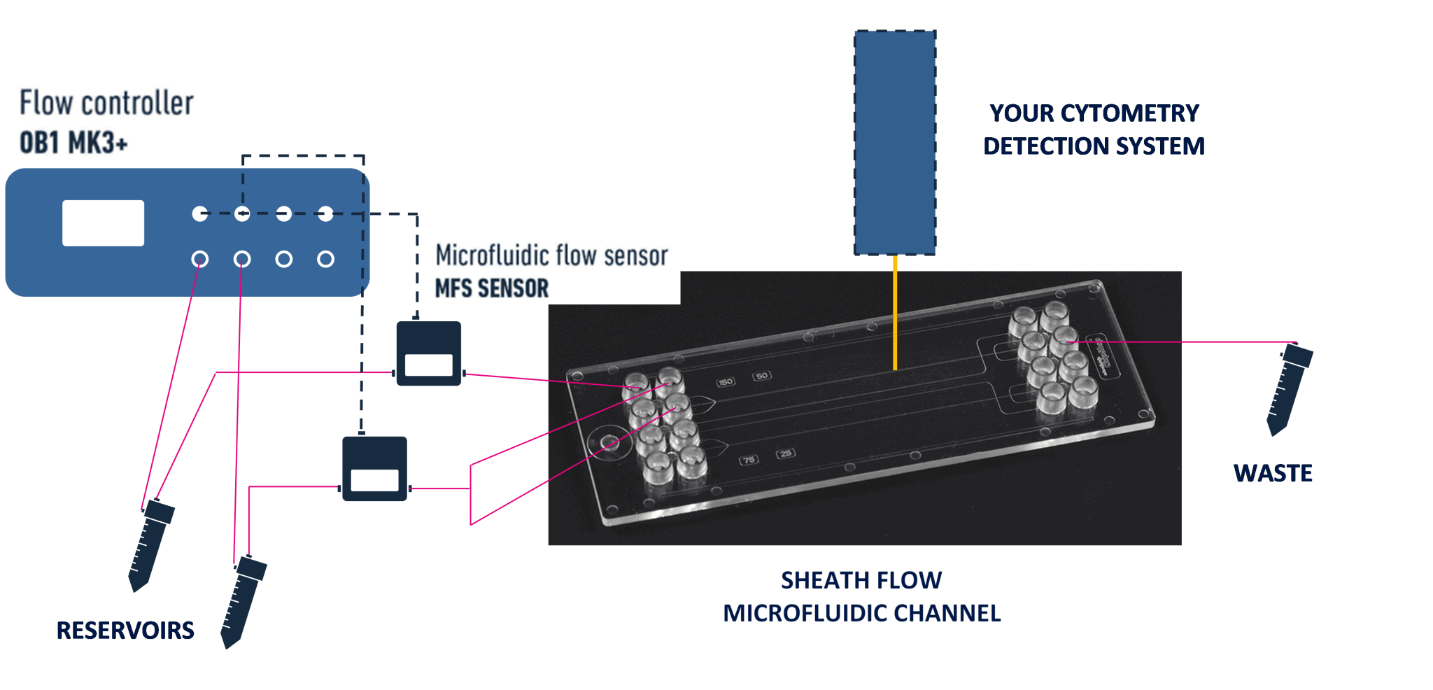 Microfluidic Flow Cytometry - Elveflow