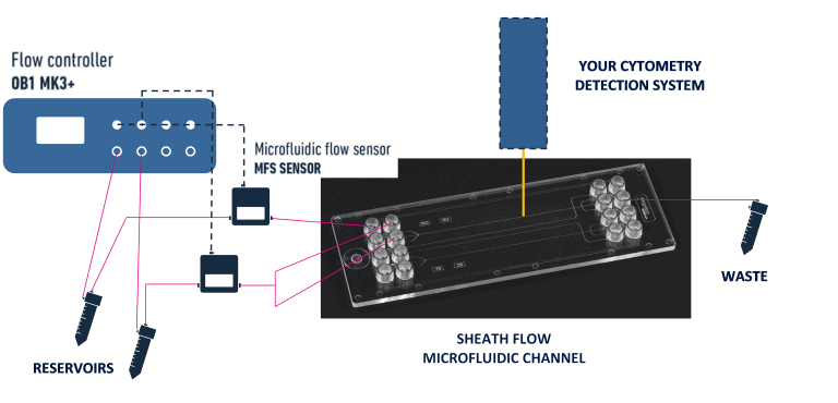 Microfluidic Flow Cytometry - Elveflow