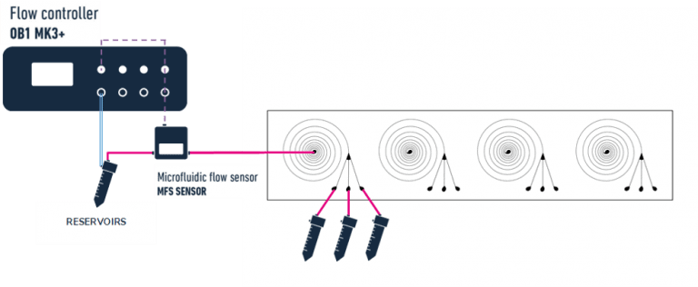 Microfluidic Particle Size Sorting Explained Elveflow
