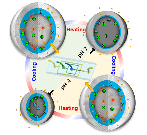 Generation of core-gap-shell microcapsules - Elveflow