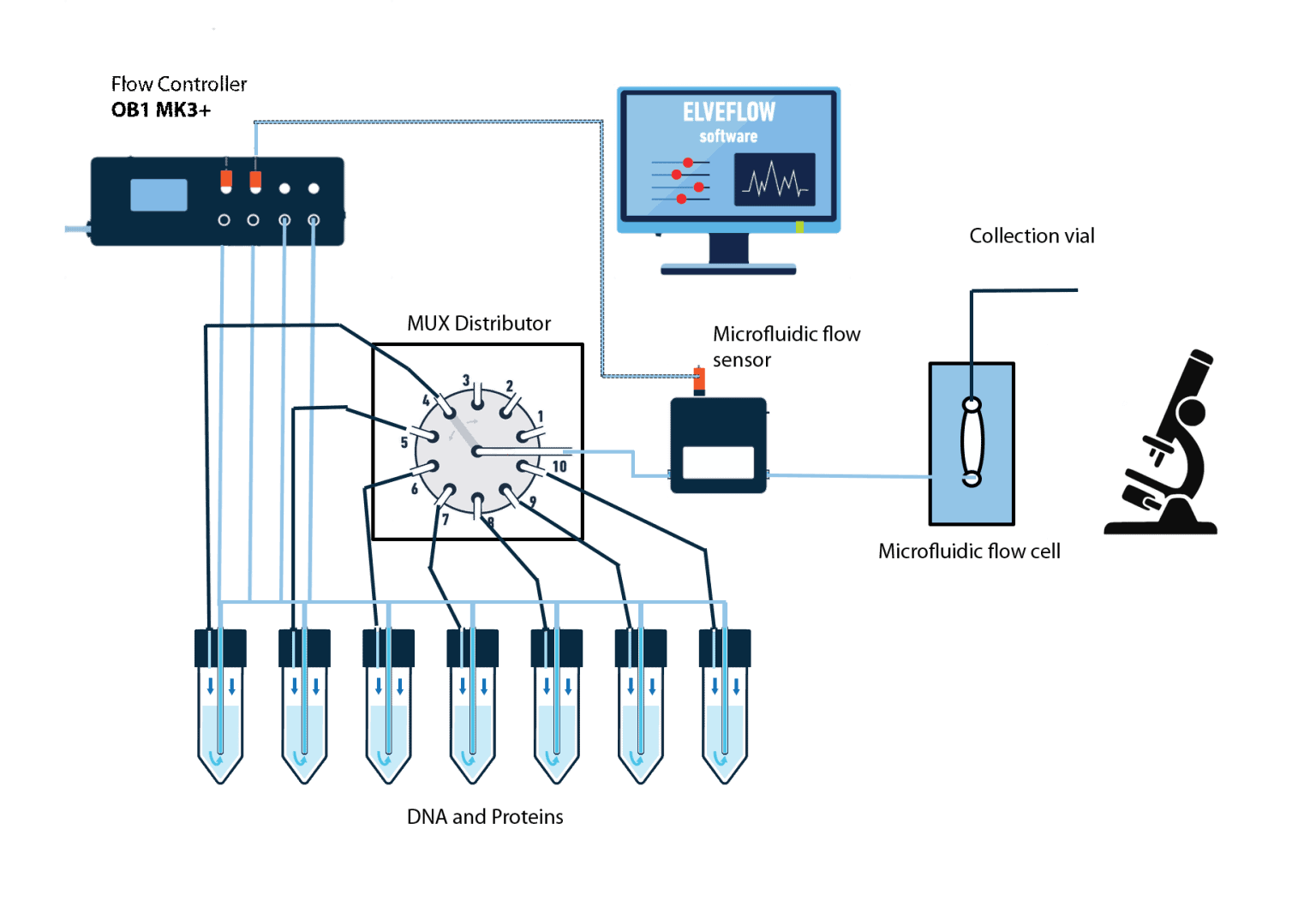 Microfluidic colocalization set-up for DNA analysis - Elveflow