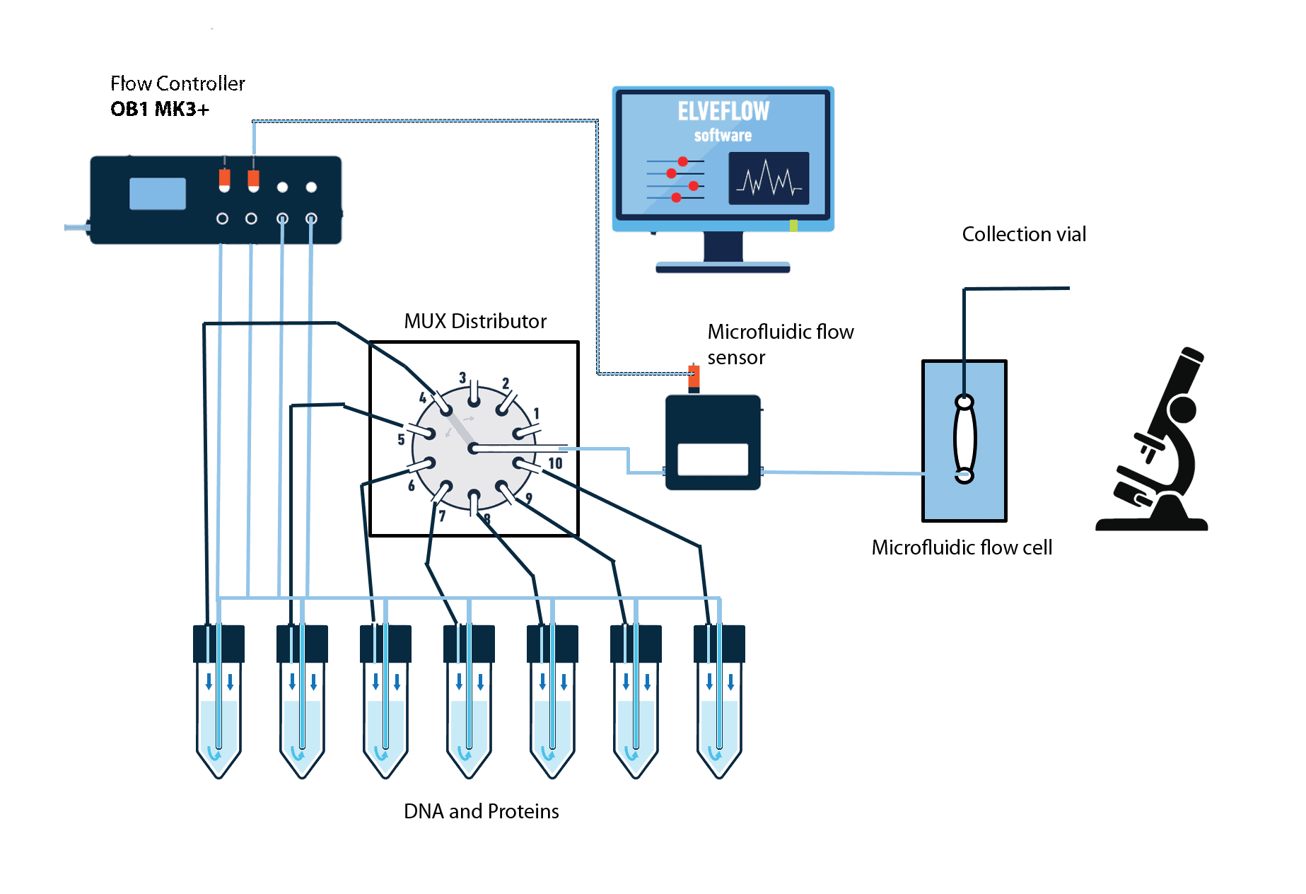 Microfluidic colocalization set-up for DNA analysis - Elveflow