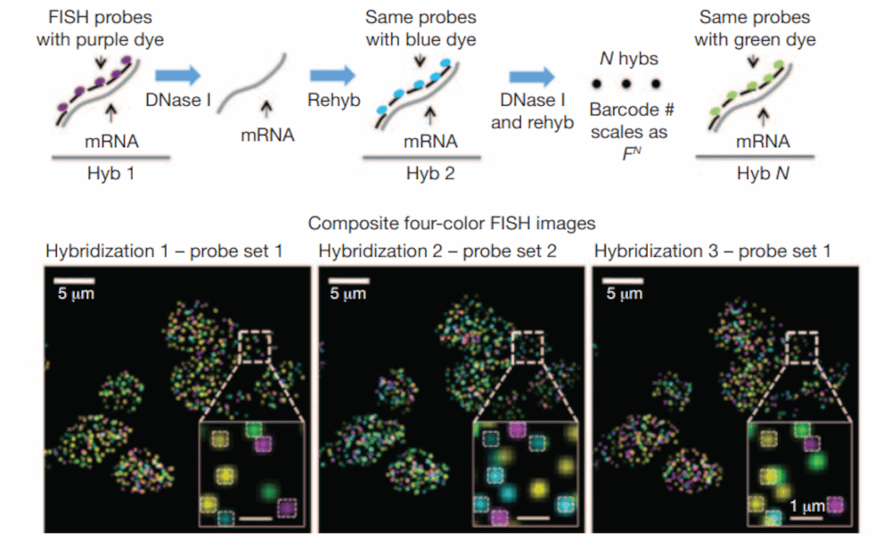 Automated Spatial Transcriptomics System for Precise Experiments