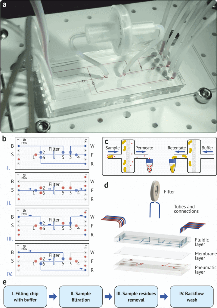 On chip bacteria separation and concentration - Elveflow