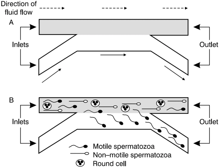 Microfluidics for sperm sorting: a review - Microfluidic Reviews - Elveflow