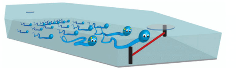 Microfluidics For Sperm Sorting A Review Microfluidic Reviews Elveflow