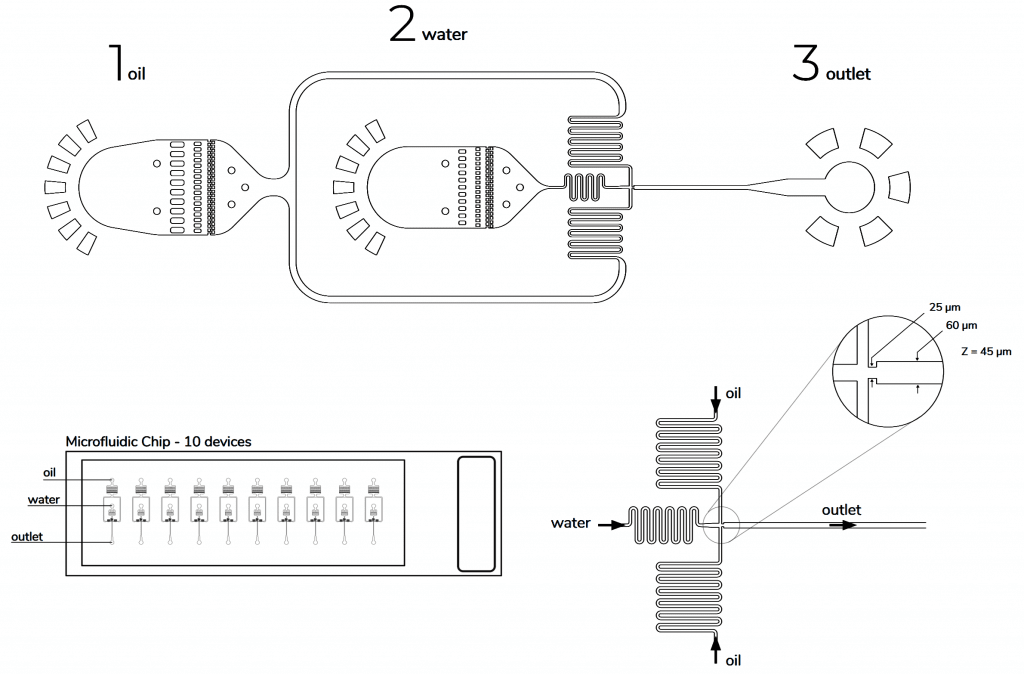 Single cell encapsulation - application note - Elveflow