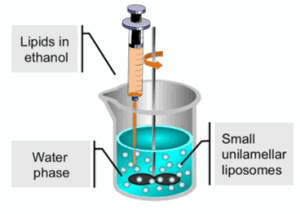 Liposome and Lipid Nanoparticle - An overview - Elveflow