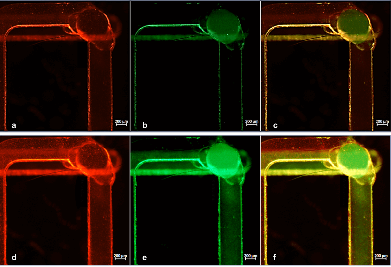 3D microfluidic micromixer: On-chip particle manipulation - Elveflow