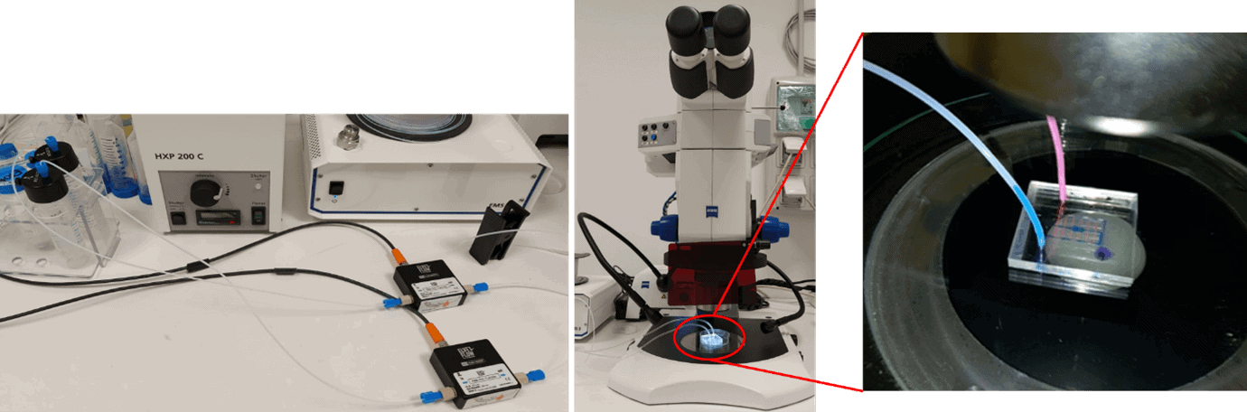 3D microfluidic micromixer: On-chip particle manipulation - Elveflow