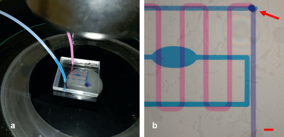 3D microfluidic micromixer: On-chip particle manipulation - Elveflow