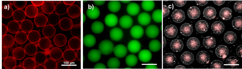 Double emulsion for encapsulation using microfluidics - Elveflow