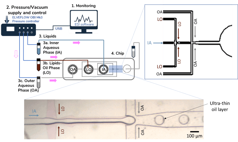 Double emulsion for encapsulation using microfluidics - Elveflow
