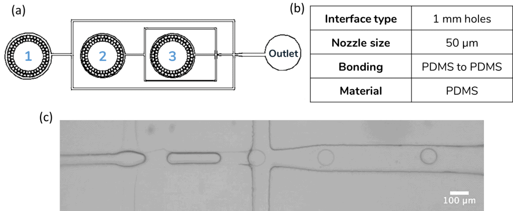 Double emulsion for encapsulation using microfluidics - Elveflow