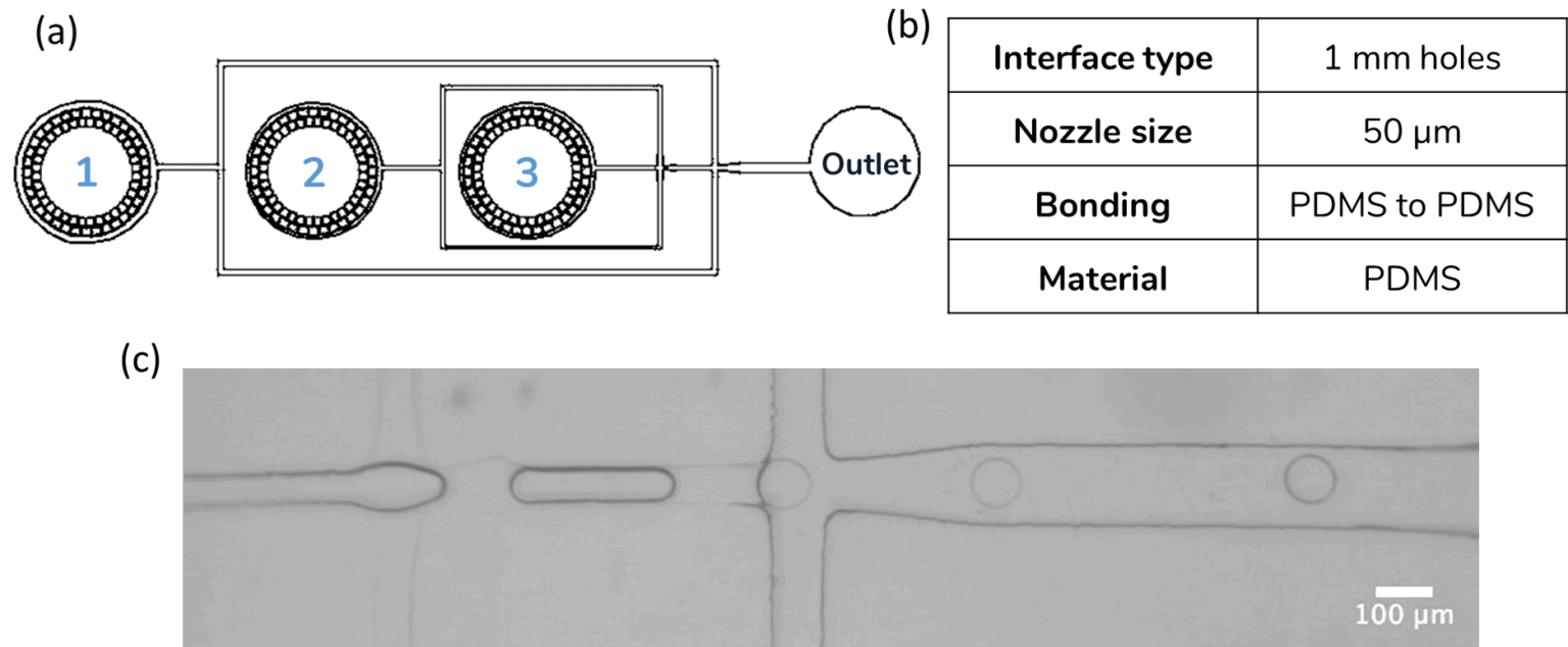 Double emulsion for encapsulation using microfluidics - Elveflow