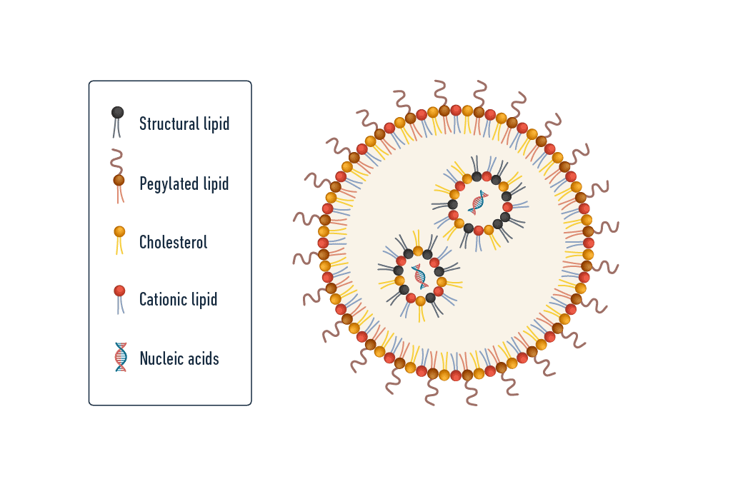 Automated Lipid Nanoparticle Synthesis Pack - Elveflow