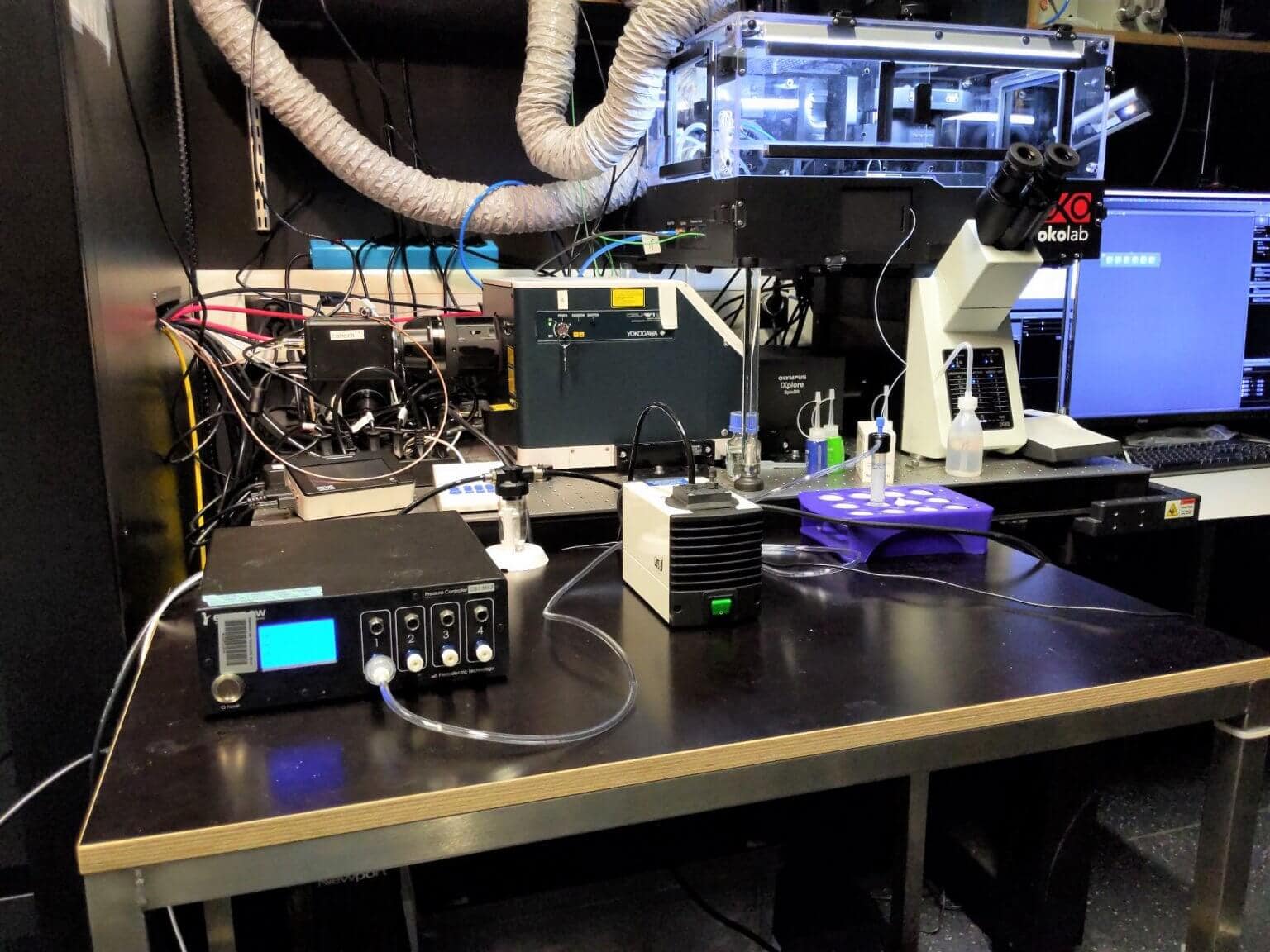 How do you synchronize a microscope with a microfluidic perfusion system?