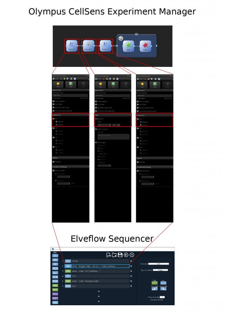 How do you synchronize a microscope with a microfluidic perfusion system?