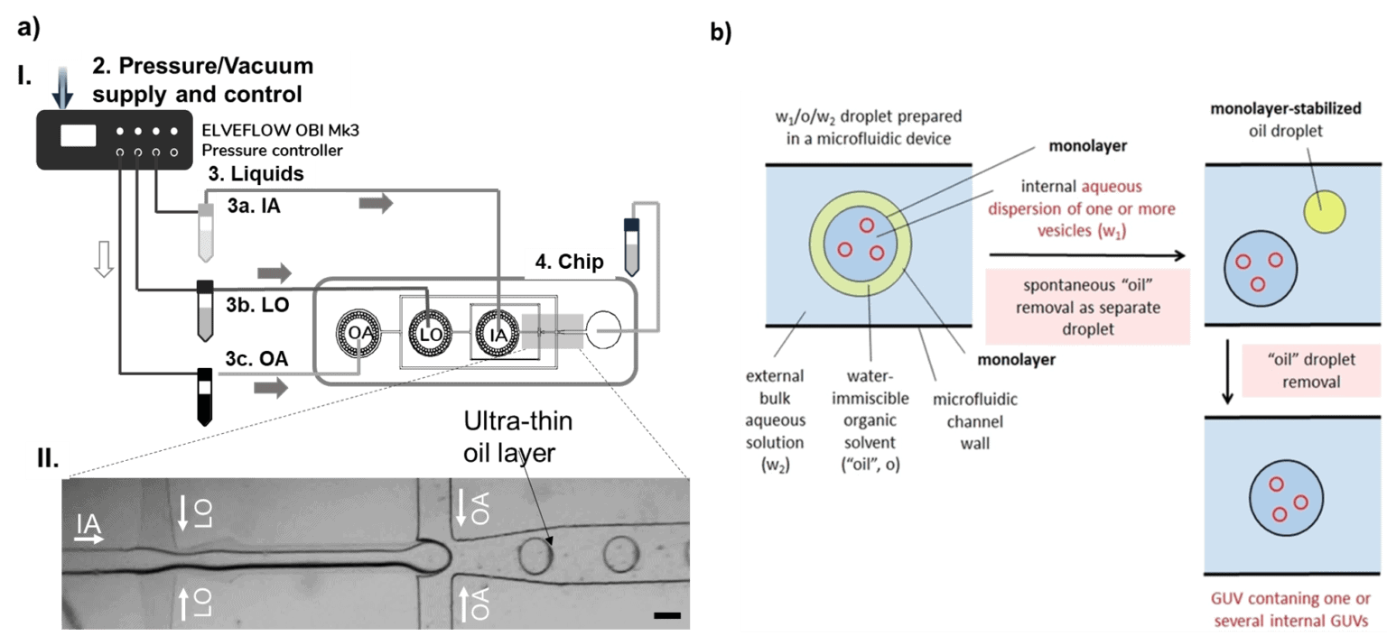 Multivesicular microfluidic vesicles for drug delivery and artificial cells