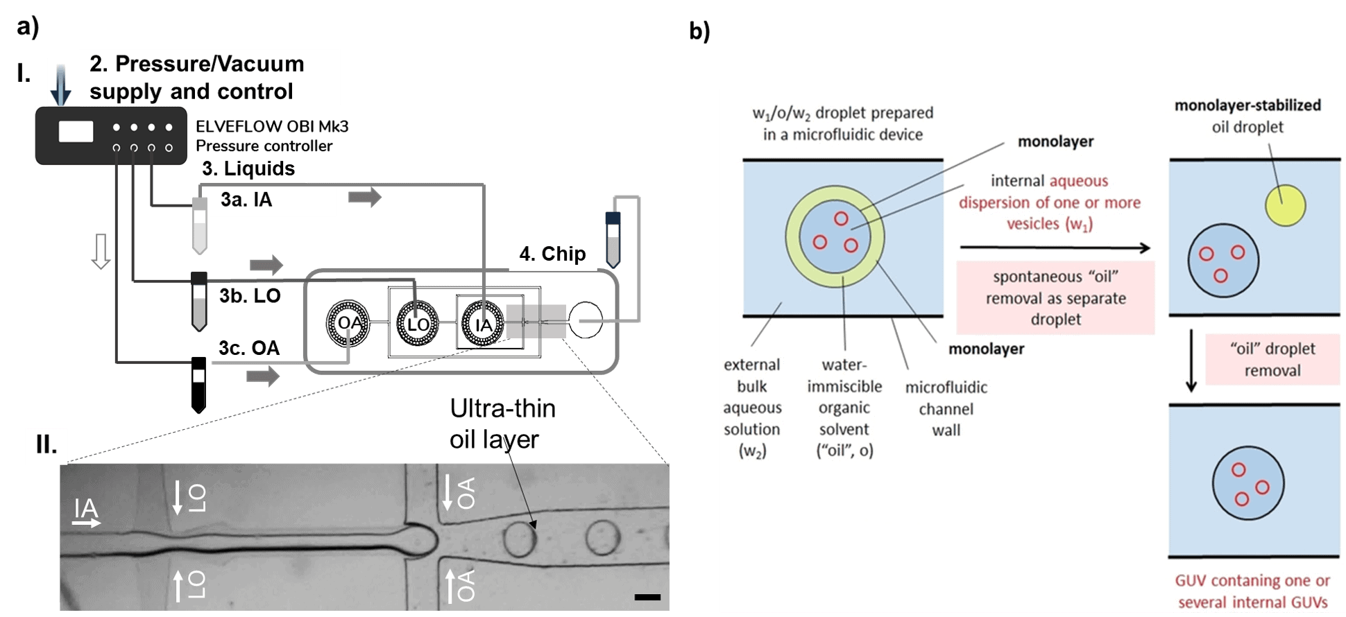 Multivesicular microfluidic vesicles for drug delivery and artificial cells
