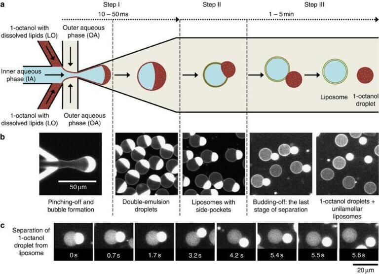 Octanol-assisted liposome assembly (OLA) using Elveflow pumps - Elveflow