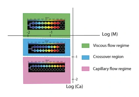 Two-phase flow and CO2 storage in Geological Reservoirs