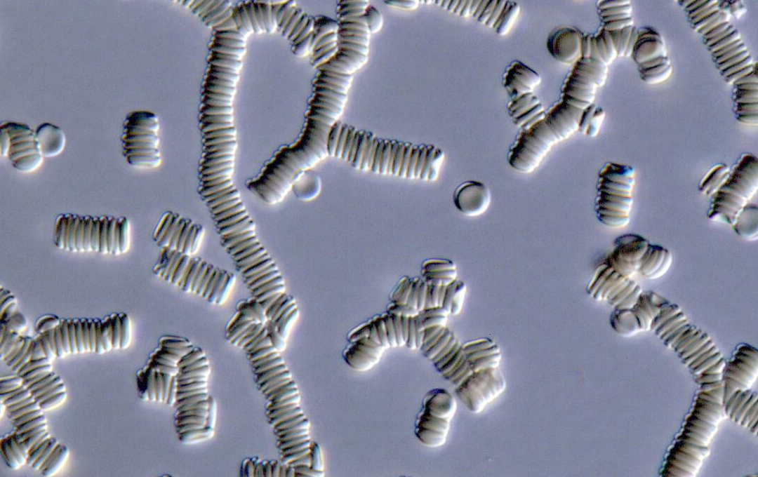 Viscosity Testing - Elveflow