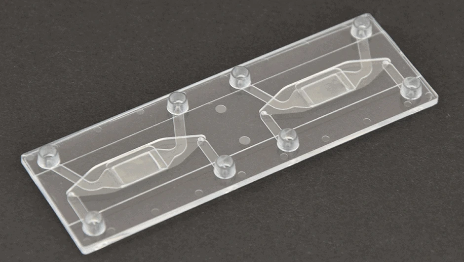 Enhance Your Research with Blood-brain Barrier chip Setup