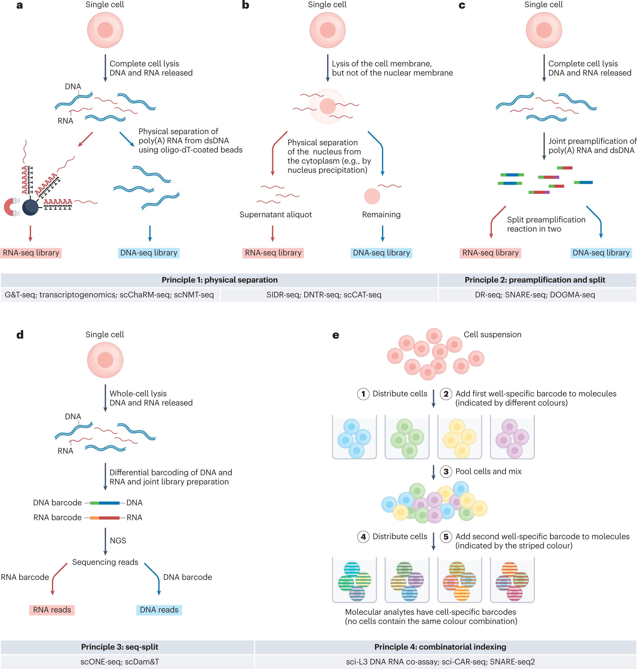 Methods and Applications for Single-Cell and Spatial Multi-Omics