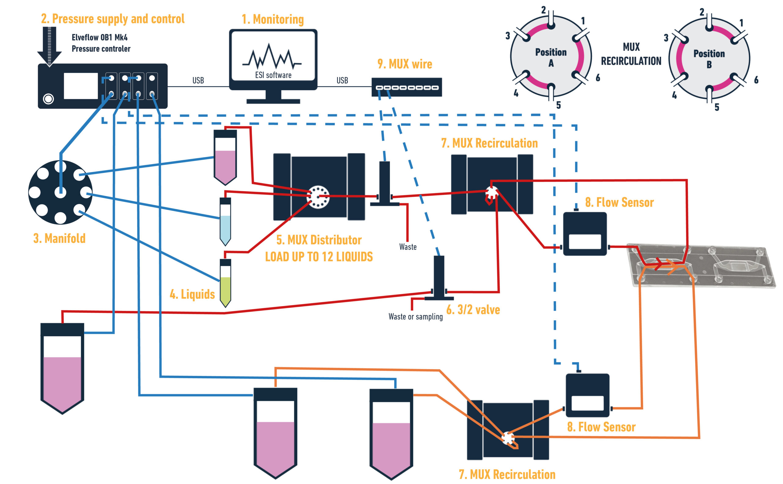 Gut on a Chip - Elveflow