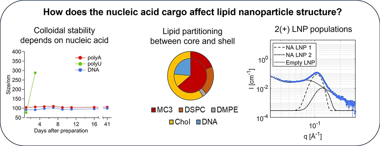 Structure of lipid nanoparticles for nucleic acid delivery