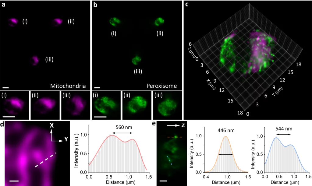 Light-field flow cytometry (LFC) for 3D single-cell analysis