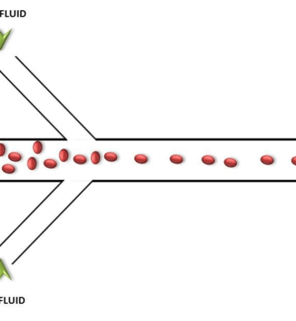 Microfluidic Flow Cytometry - Elveflow