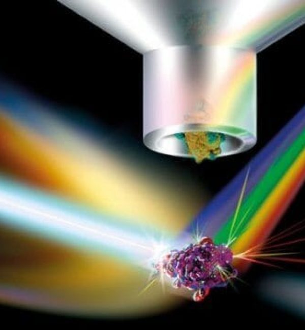 Microfluidic Flow Cytometry - Elveflow