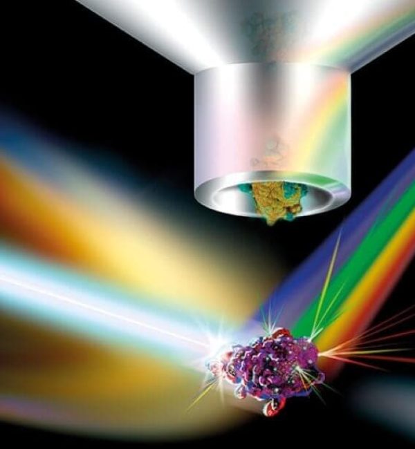 Microfluidic Flow Cytometry - Elveflow