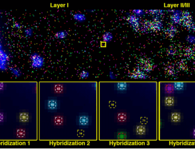 Automated Spatial Transcriptomics System for Precise Experiments